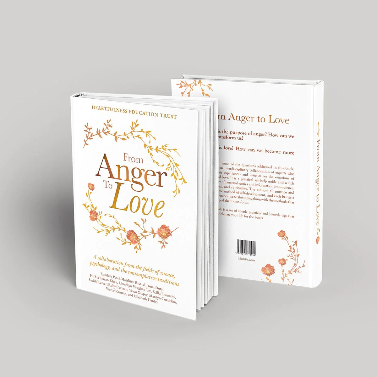 From anger to love – Hfnlife